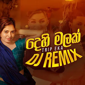 Dehi Malak (Trip Eka) Mashup DJ REMIX DJ Remix Mp3 Download | Stream Sawan Beats DJ Remix | Song.lk