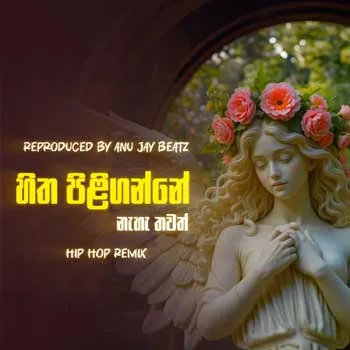 Hitha Piliganne Naha Thawath (HipHop ReMix) DJ Remix Mp3 Download | Stream ANU JAY BEATZ DJ ...