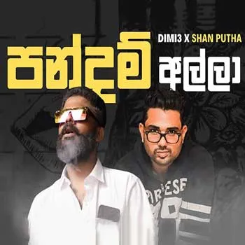Pandam Alla Mp3 Download - Shan Putha Ft Dimi3 | Song.lk