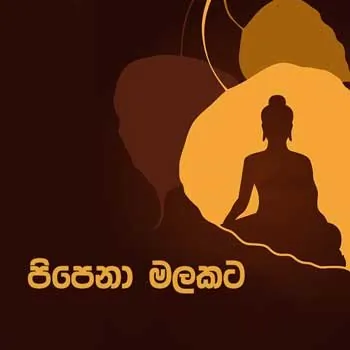 Pipena Malakata Mp3 Download - Malani Bulathsinhala | Song.lk