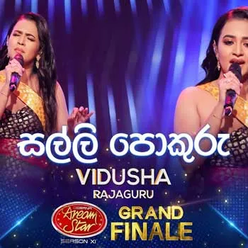 Salli Pokuru (Dream Star Grand Finale) Mp3 Download - Vidusha Rajaguru ...