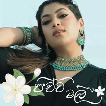 Pichcha Malee Mp3 Download - Raini Charuka | Song.lk